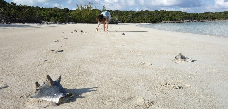 Hawksbill Cay | Il etait une fois…Demain