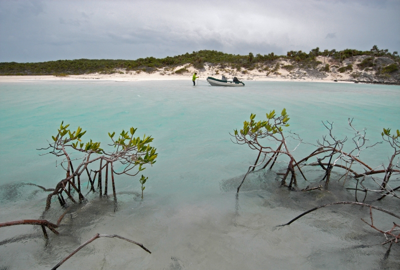 Hawksbill Cay | Il etait une fois…Demain